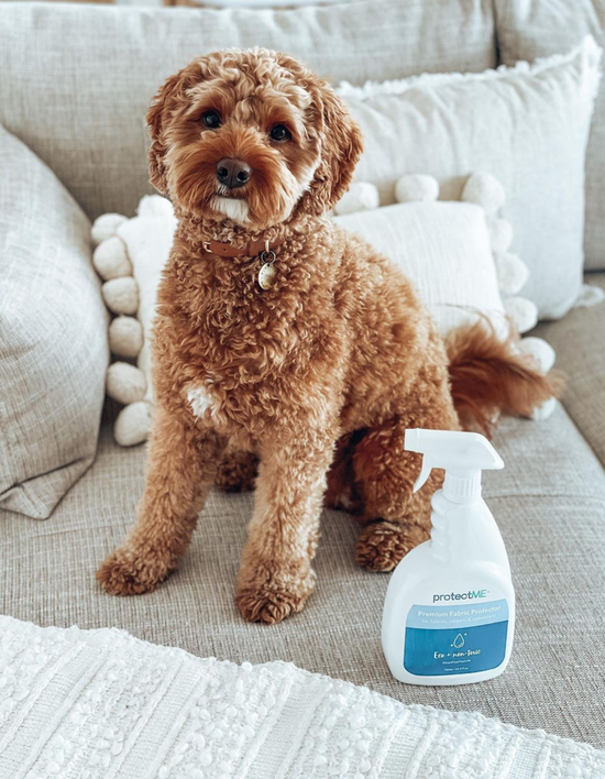 Fabric Protector Spray 25 fl oz - Upholstery & More - protectME ...